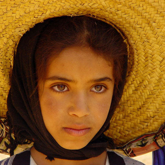 Arabian Mocha Sanani (5 lb) – Gourmet Coffee